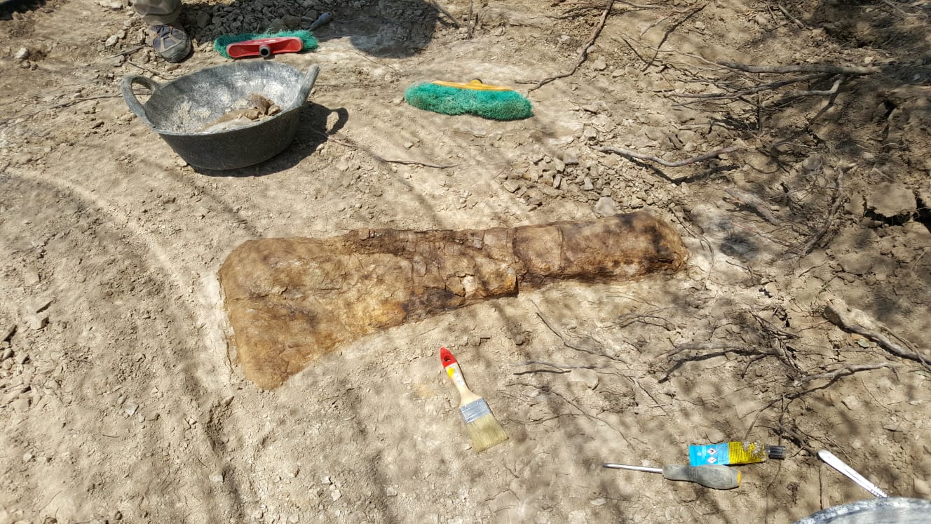 b5-Gavarres 2019 – Tribuna d'Arqueologia